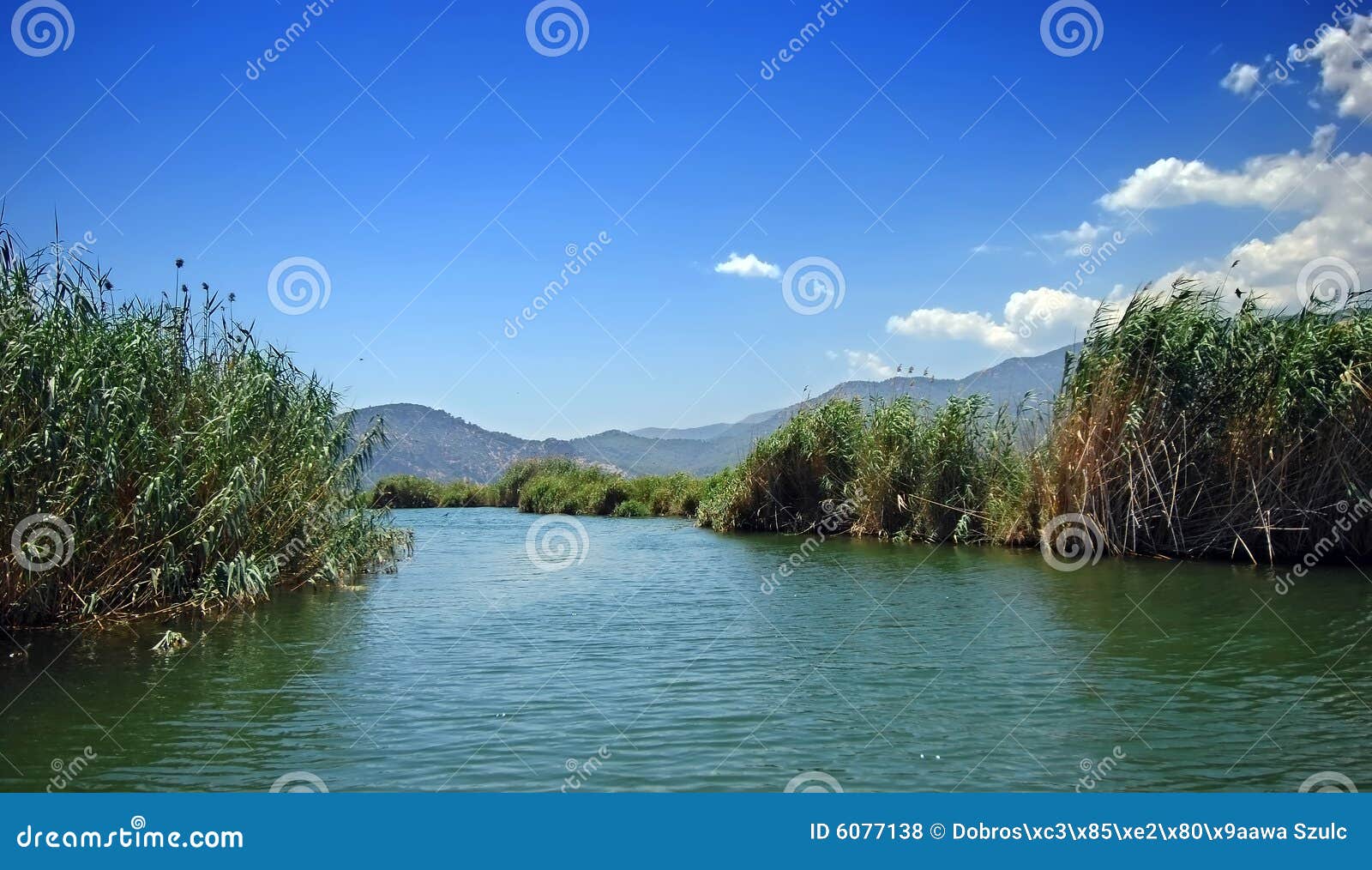 Riverside landscape stock photo. Image of landscape, summer - 6077138