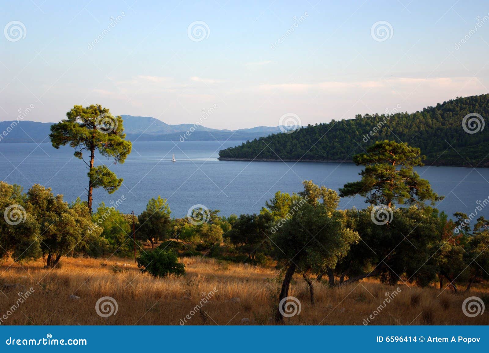Riverside Landscape stock photo. Image of river, countryside - 6596414