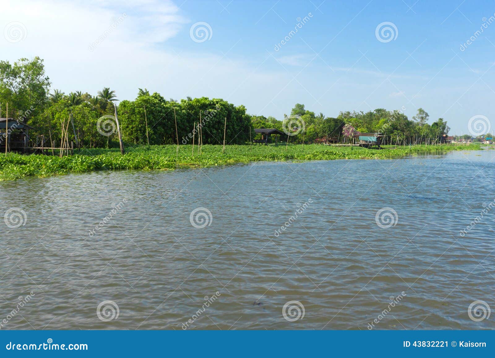 Riverside landscape stock image. Image of sunset, nature - 43832221