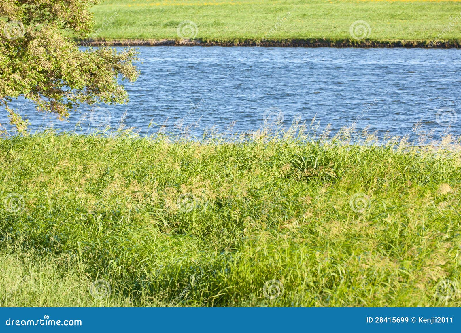 Riverside Landscape of Summer Stock Image - Image of calm, nature: 28415699