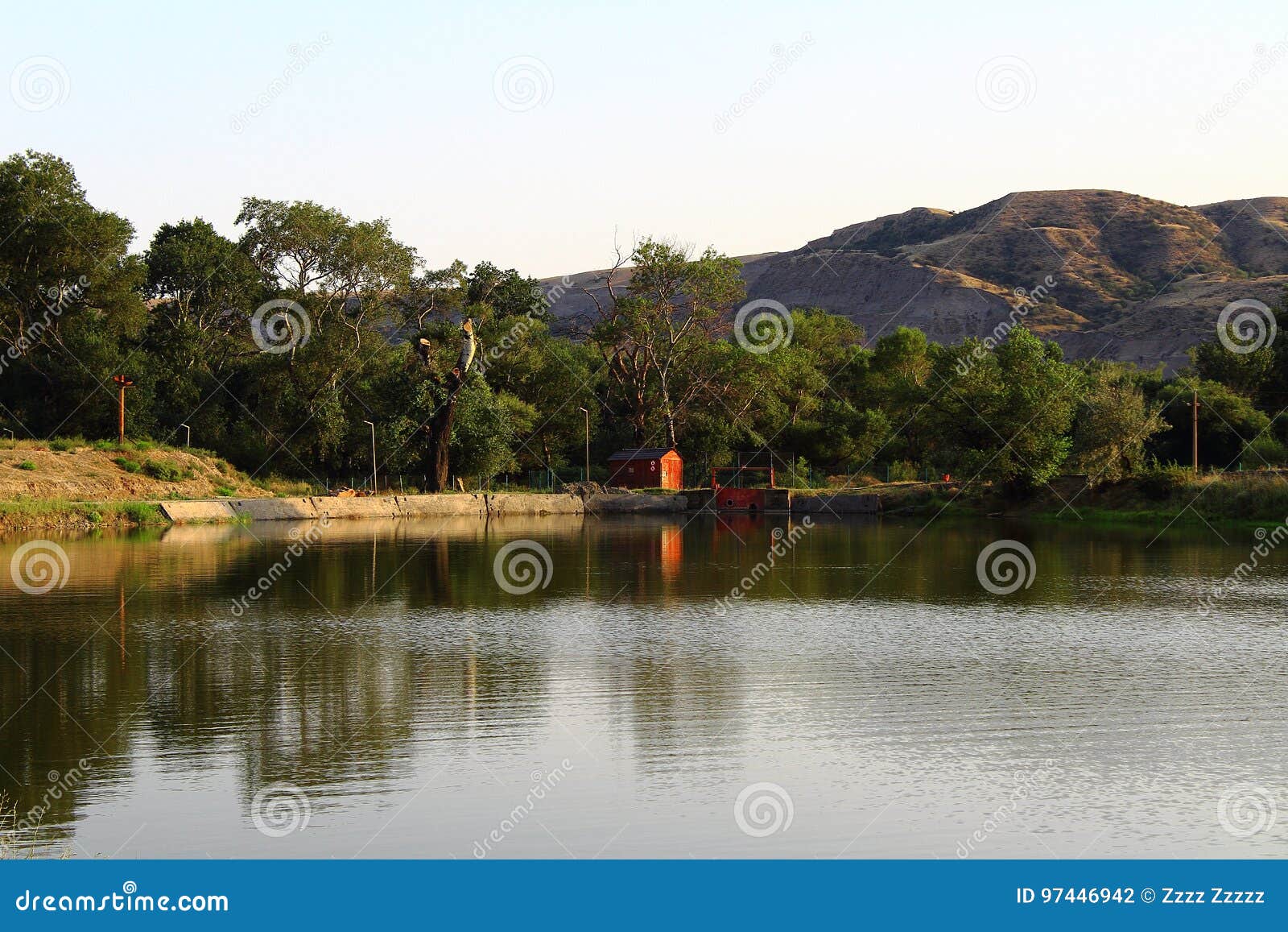 Riverside nature stock photo. Image of flora, field, lake - 97446942