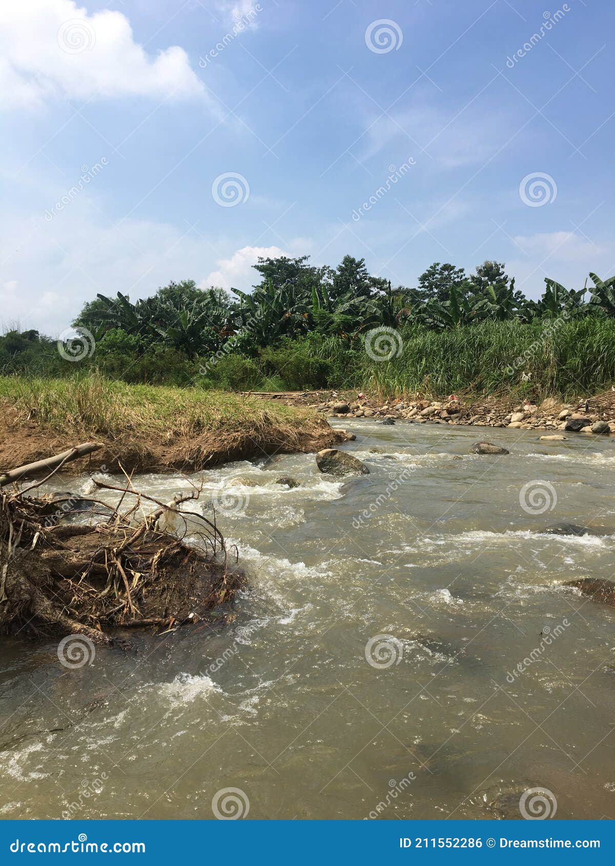 Riverside stock photo. Image of jawa, jonggol, barat - 211552286