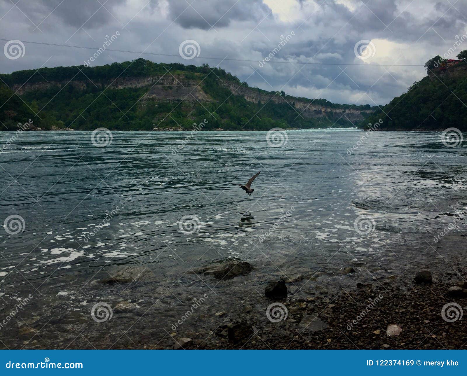 Riverside stock image. Image of nature, canada, riverside - 122374169