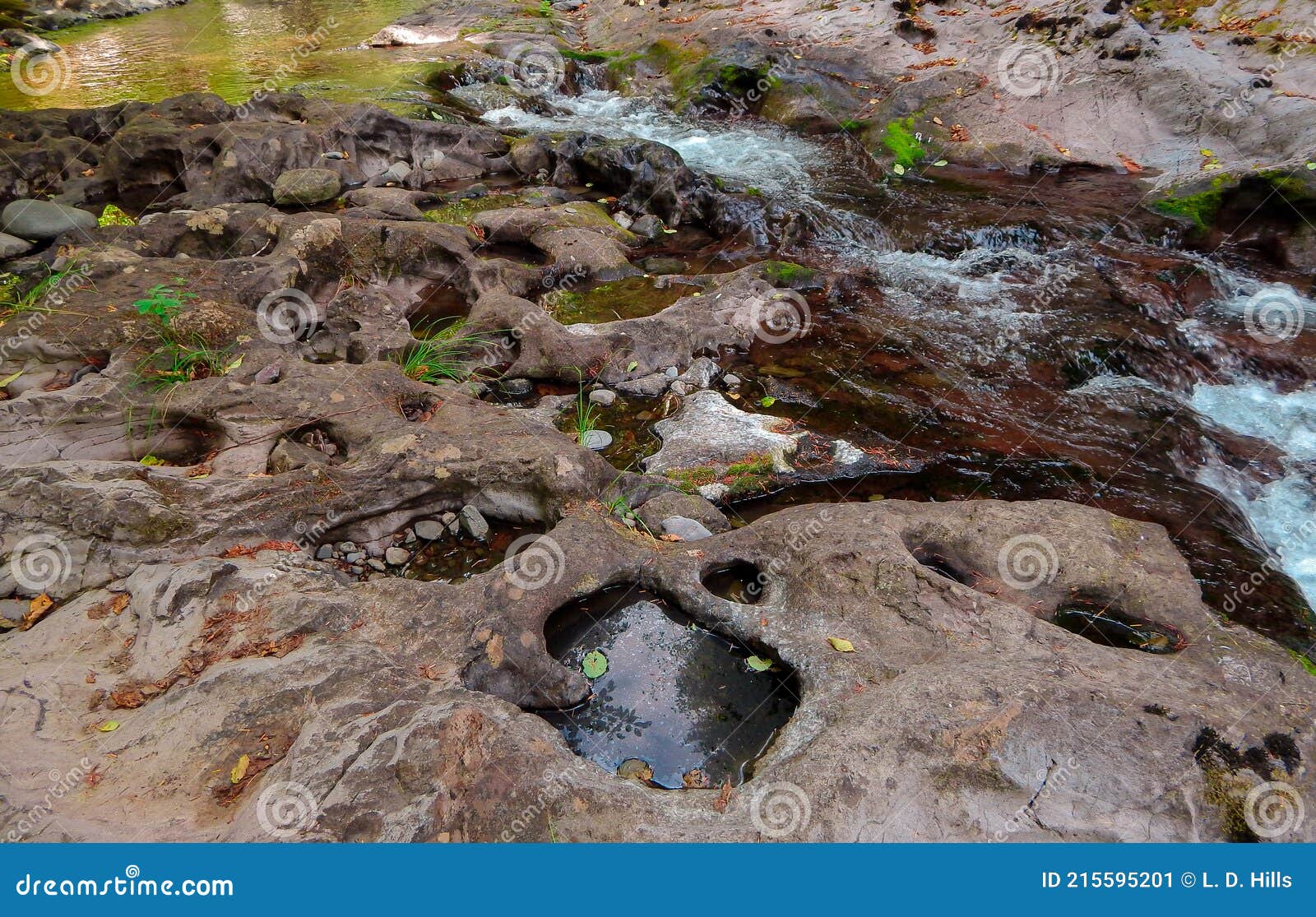 Riverside Potholes stock image. Image of strange, nature - 215595201