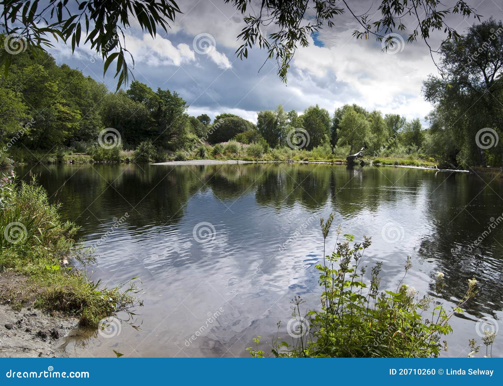 Riverside Reflections stock photo. Image of green, debris - 20710260