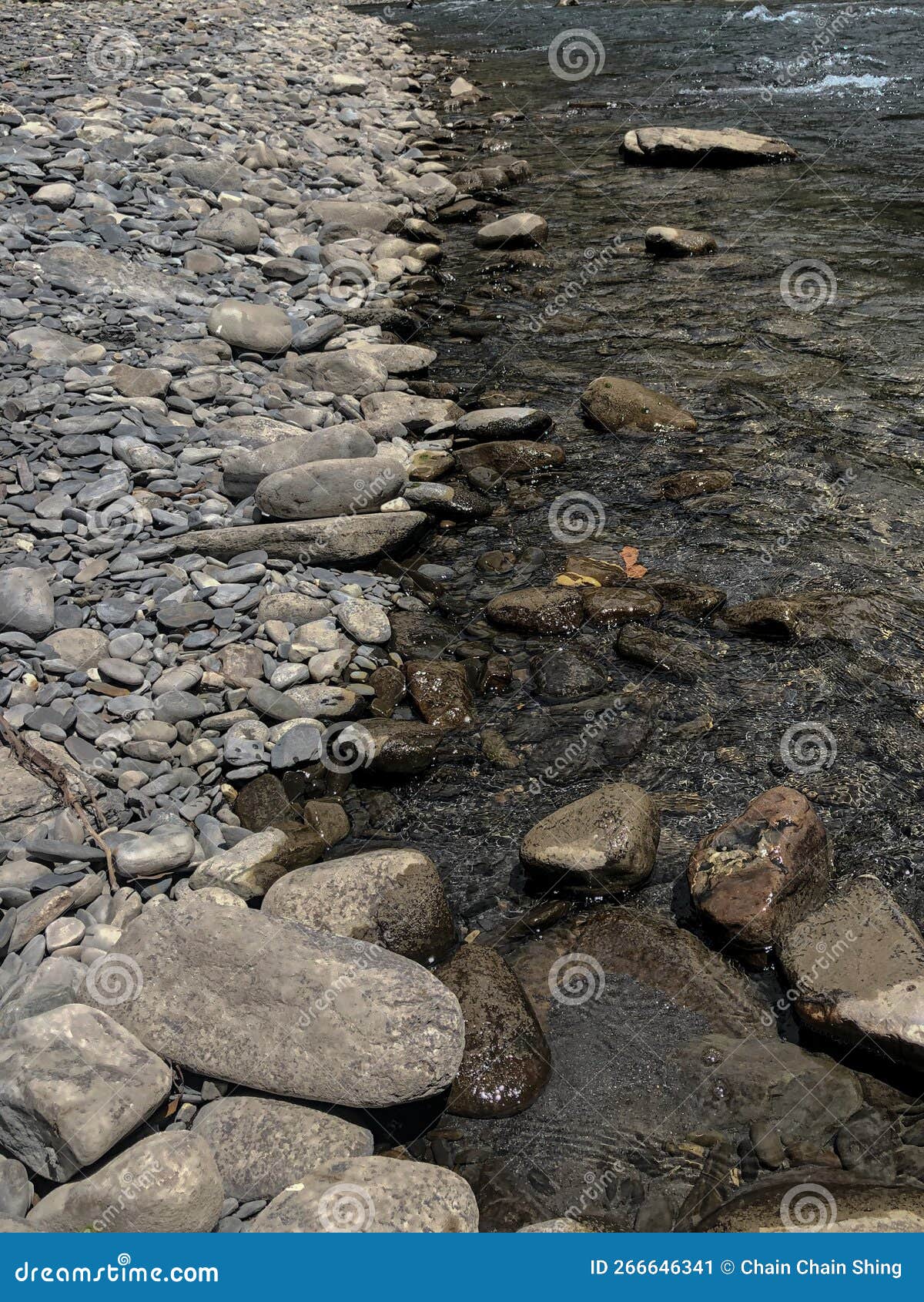 Riverside stock image. Image of shore, wood, geology - 266646341