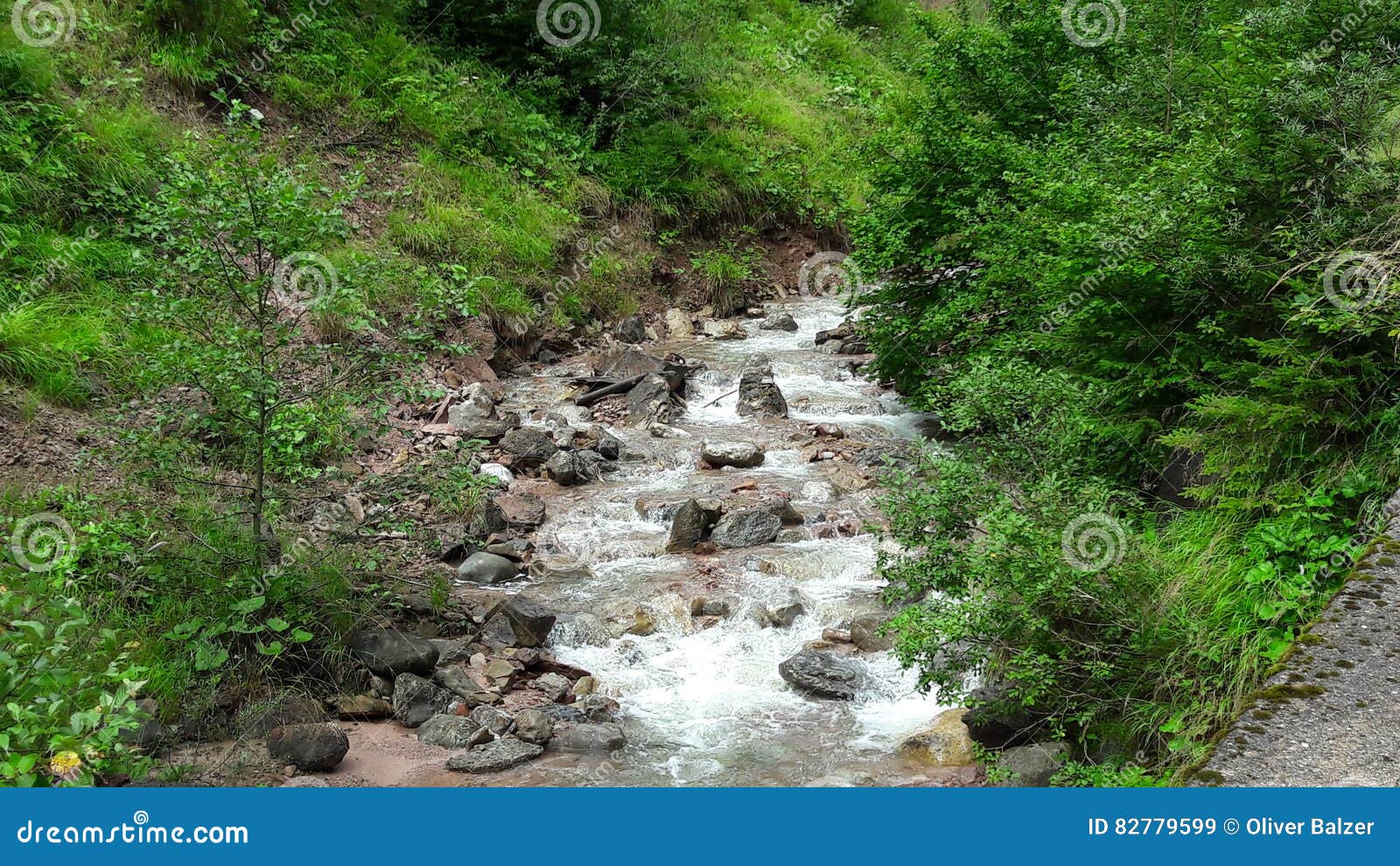 Riverside stock image. Image of austria, hills, forest - 82779599