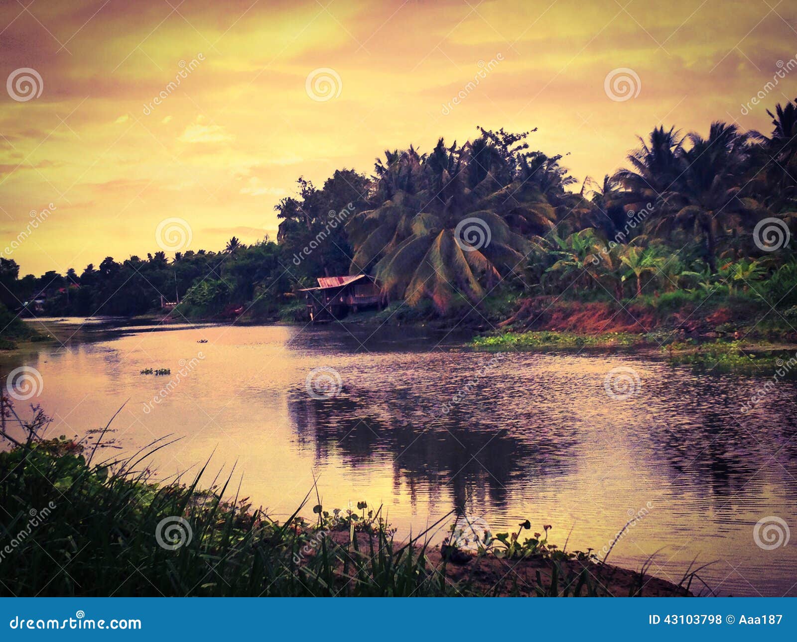 Riverside stock photo. Image of canal, riverside, river - 43103798