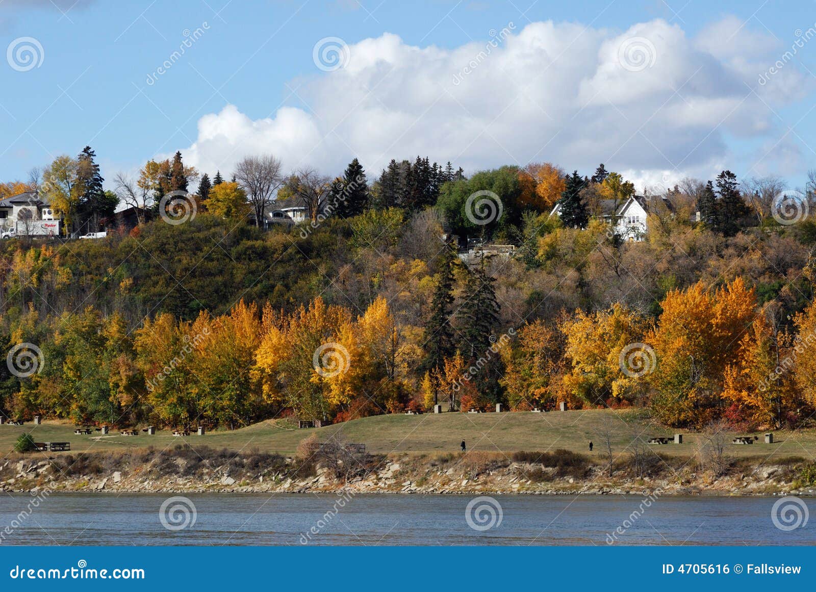 Riverside Scene in Edmonton Stock Photo - Image of hiking, alberta: 4705616