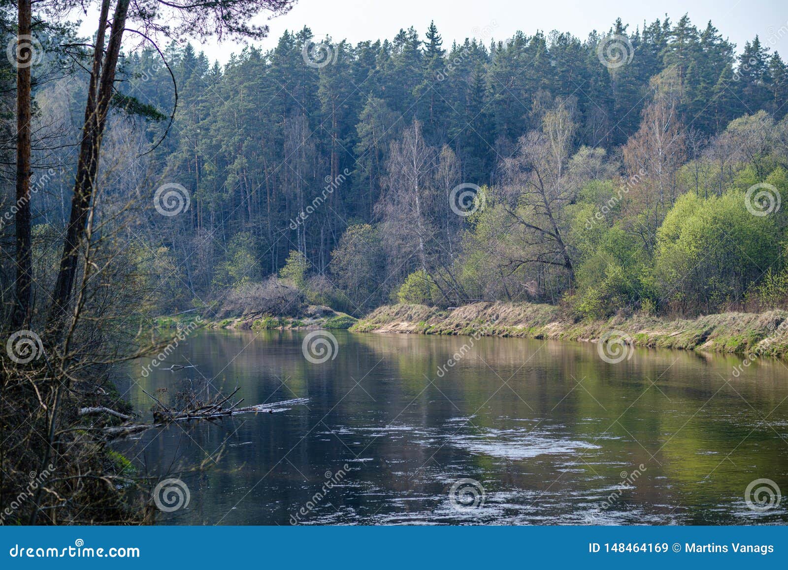 Riverside Shore in Spring with Scenic Trees and Green Pastures Stock ...