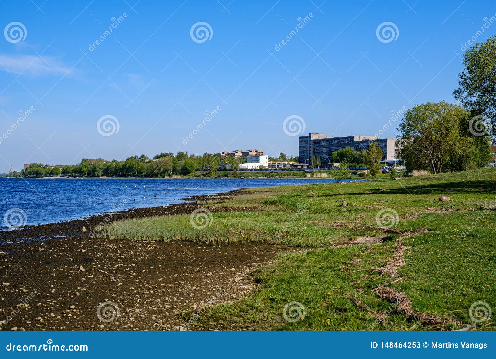 Riverside Shore in Spring with Scenic Trees and Green Pastures Stock ...