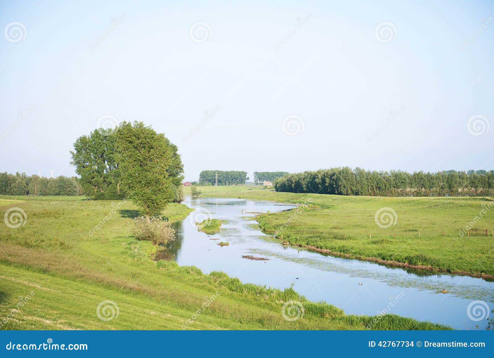 Riverside stock photo. Image of travel, forest, outdoor - 42767734