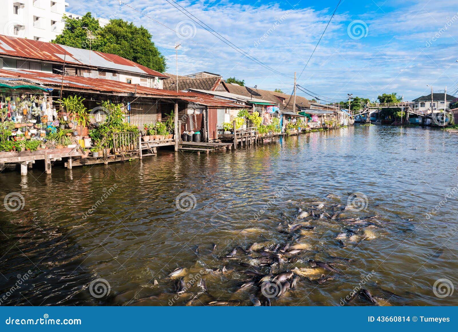 Riverside thai village stock photo. Image of happy, traditional - 43660814