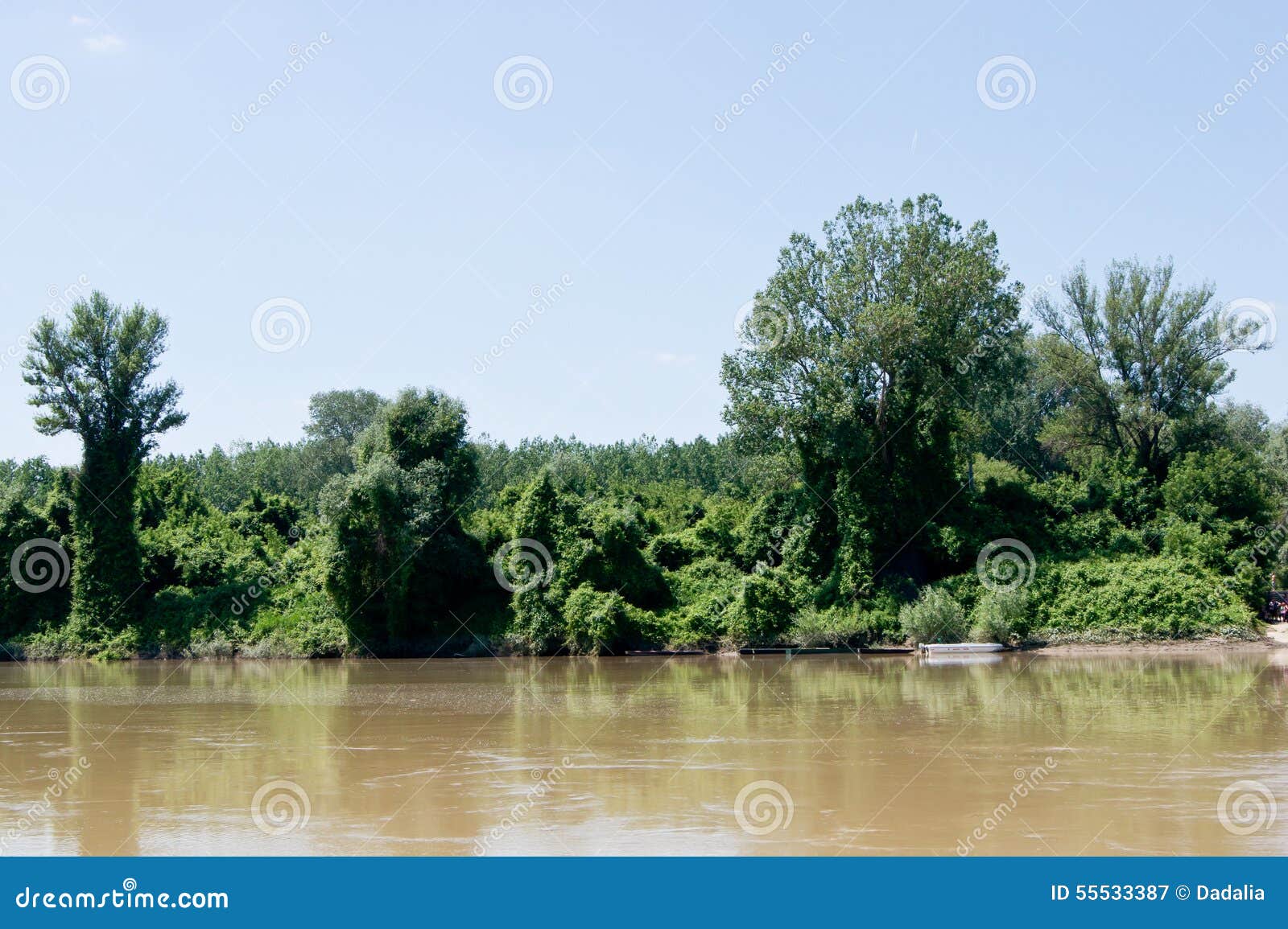 Riverside trees. stock image. Image of beauty, trees - 55533387
