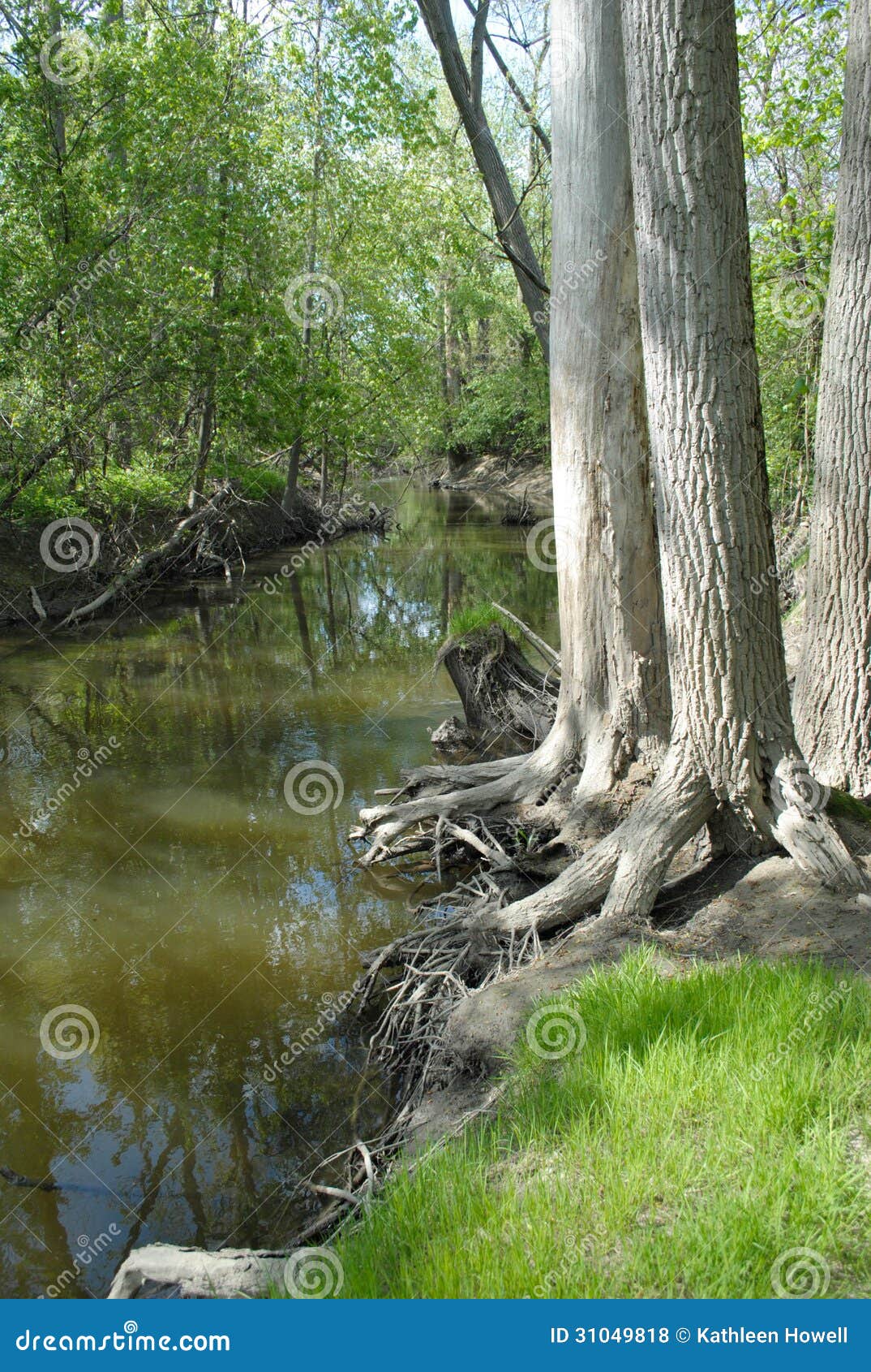 Riverside stock photo. Image of water, country, green - 31049818