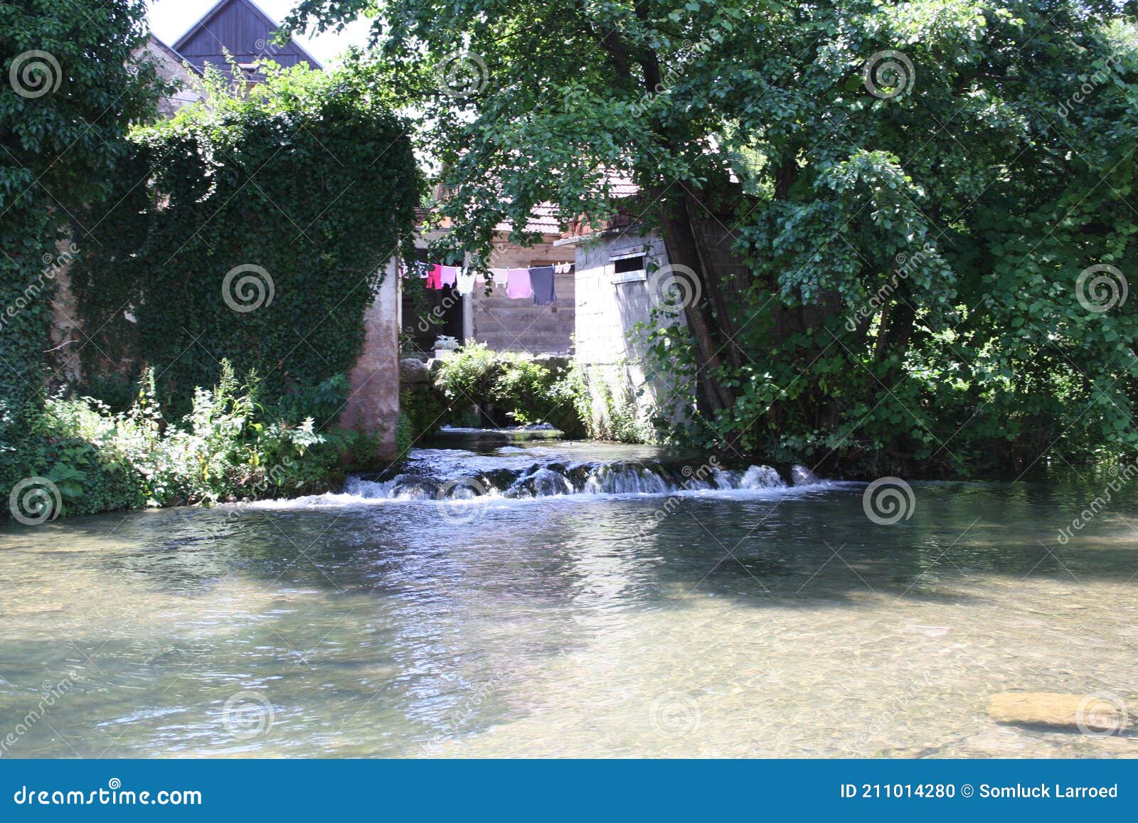 Riverside View. a Very Beautiful Riverside. a Very Beautiful Nature ...