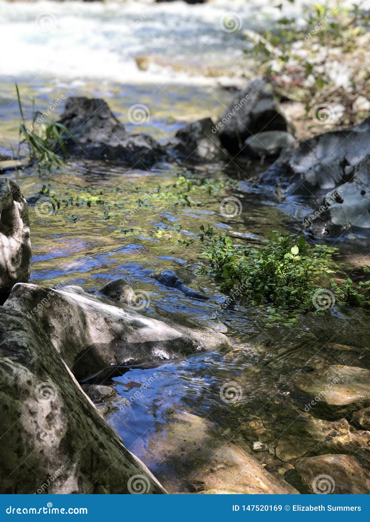 Riverside stock image. Image of water, riverside, rocks - 147520169