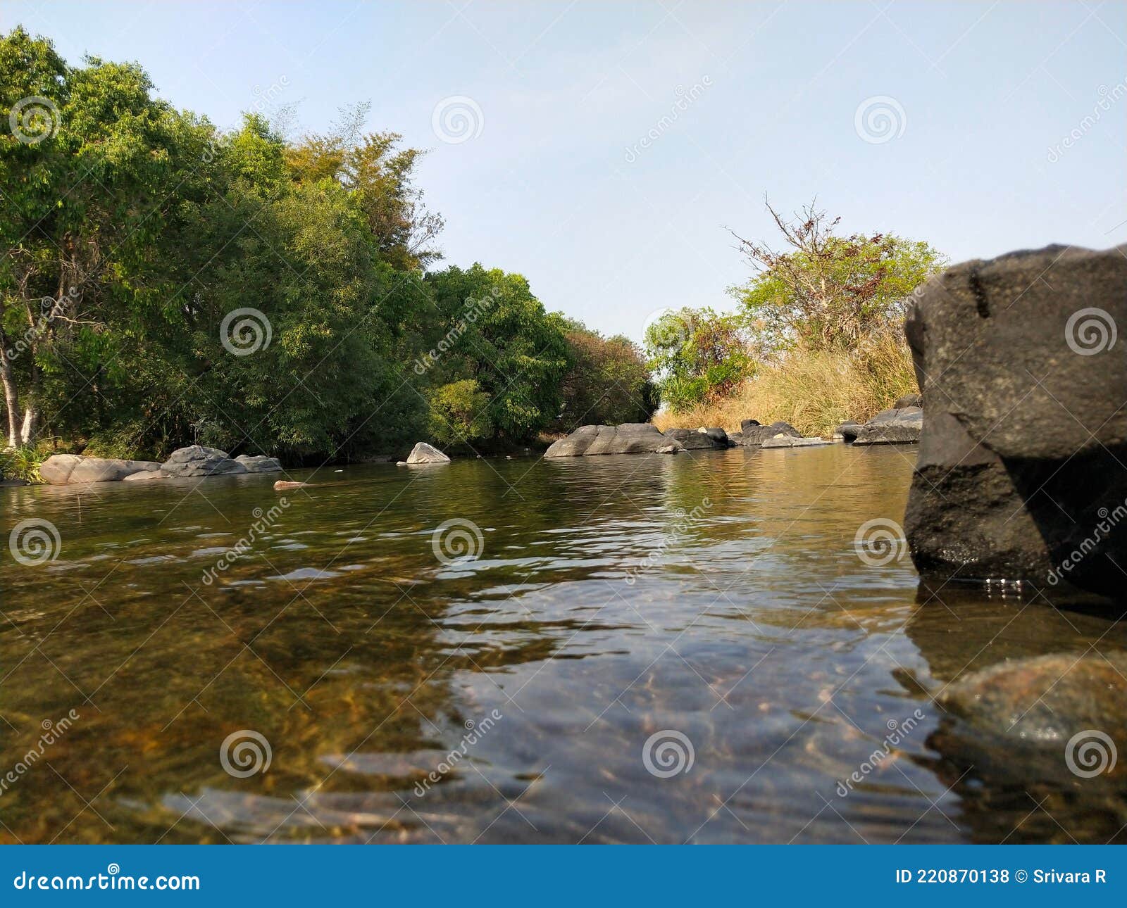 Riverside view stock photo. Image of riversideview, water - 220870138