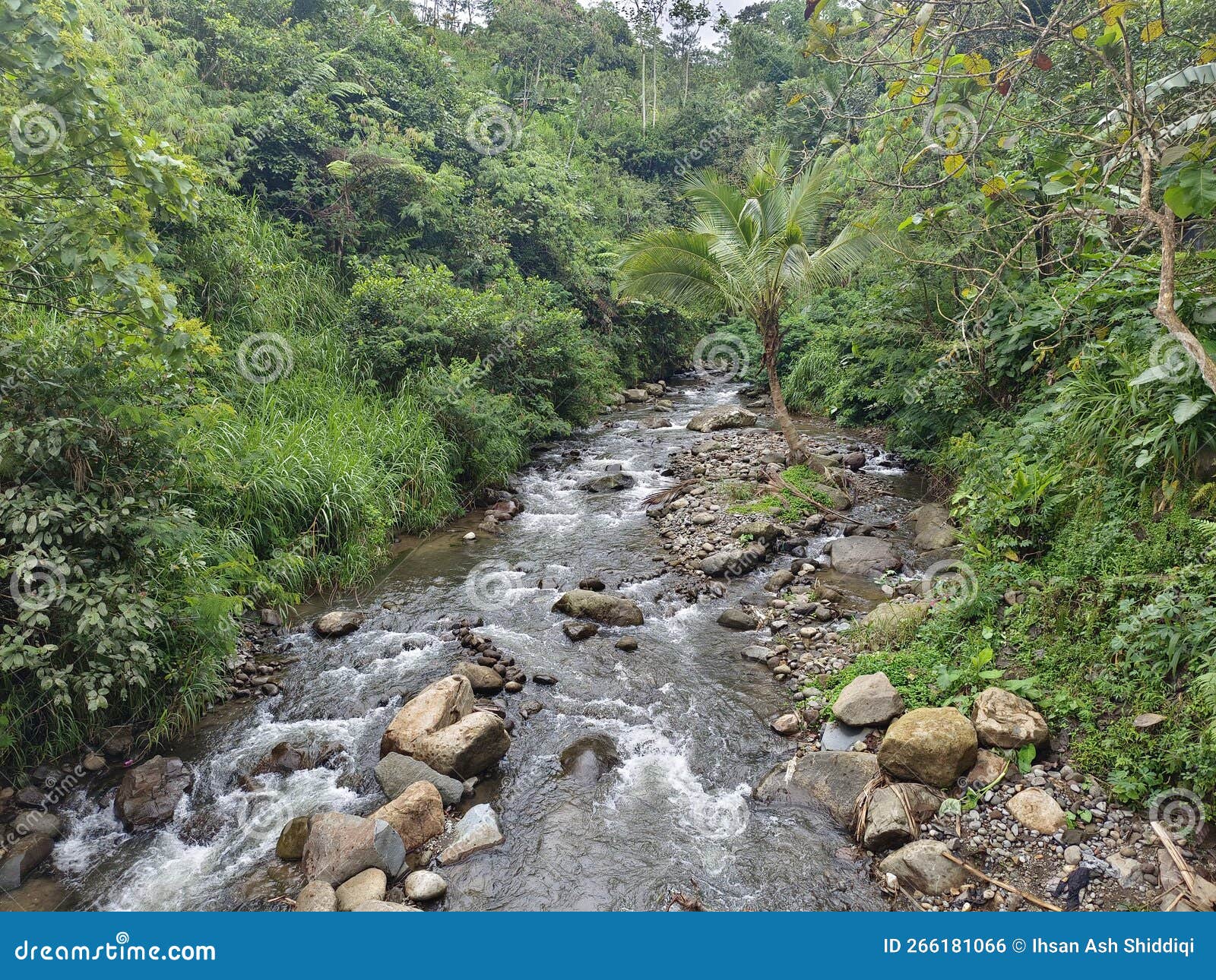Riverstream on a Upstream stock photo. Image of riverstream - 266181066
