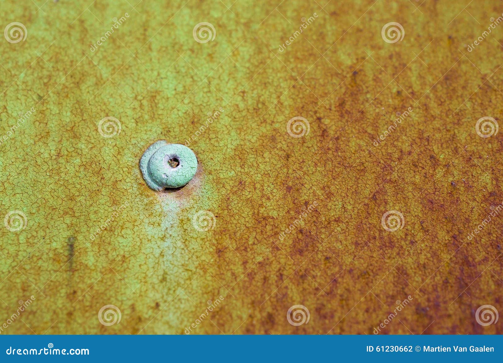 Rivet and Rust Spots on a Steel Plate. Stock Photo - Image of lemmer ...