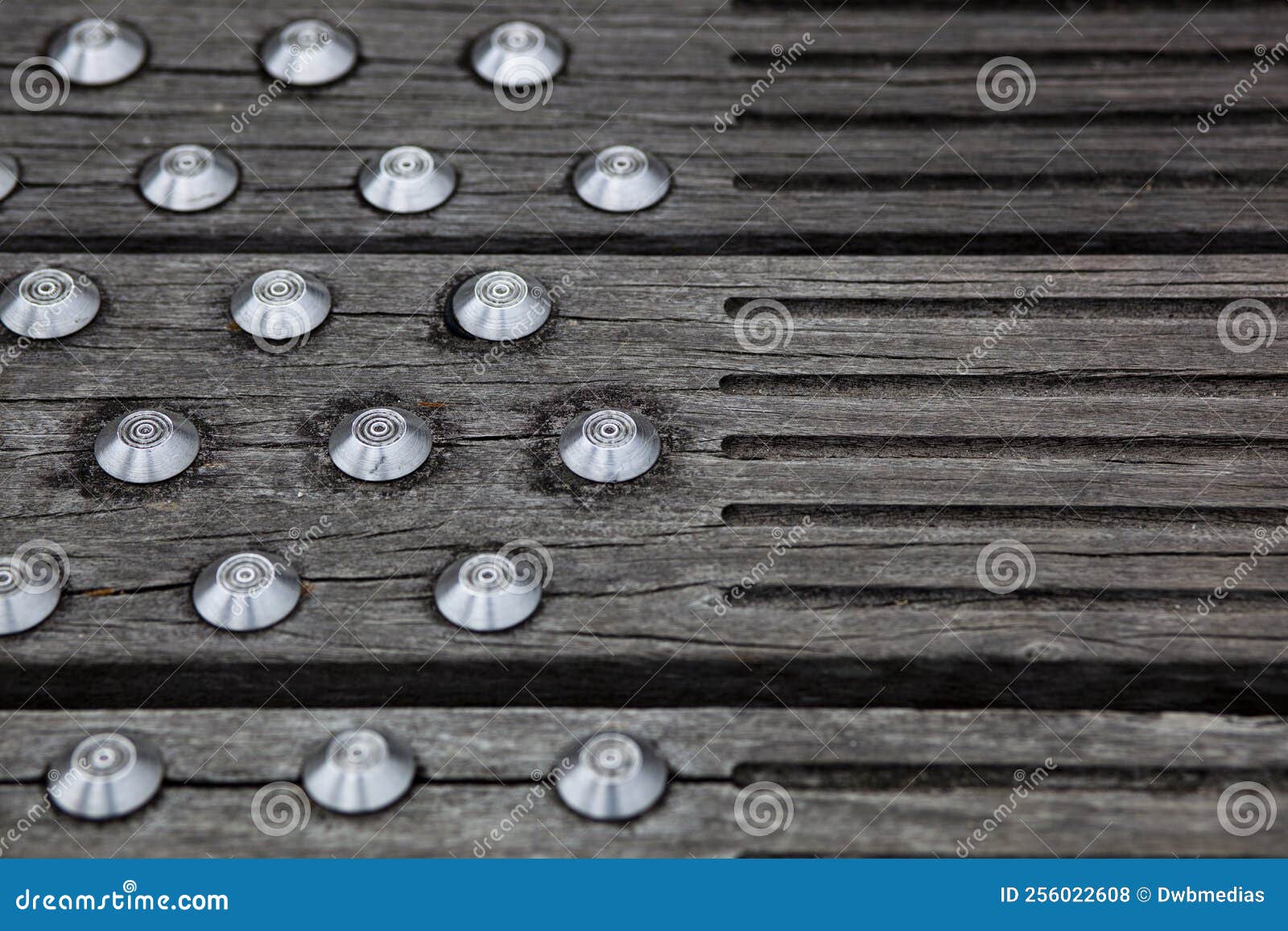 Rivets in wood deck stock photo. Image of circular, grain - 256022608