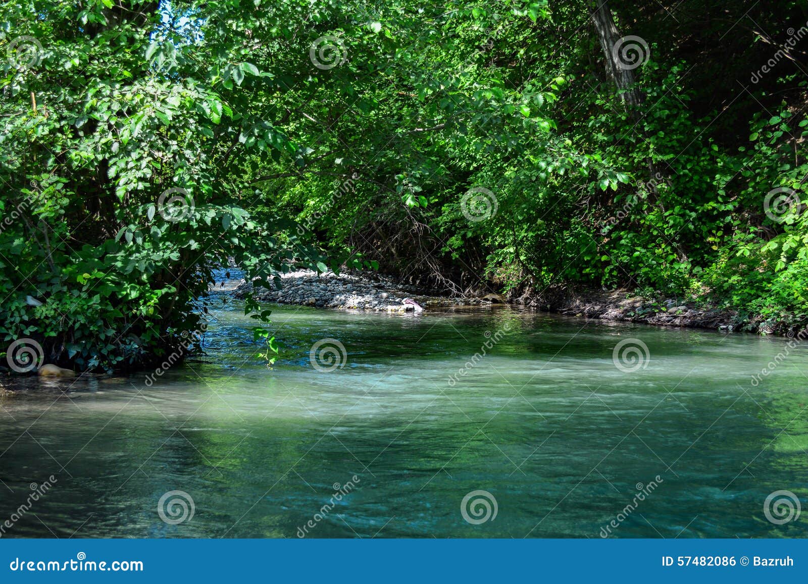 Rivier in bos, groot water stock foto. Image of mooi - 57482086