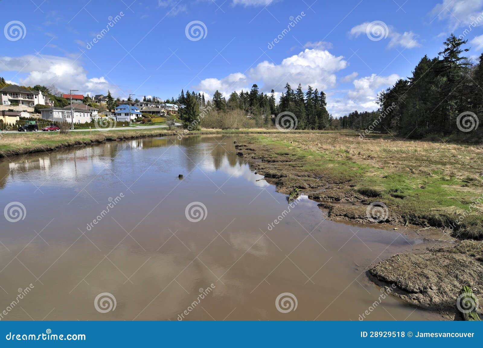 Rivier in een woonwijk stock foto. Image of milieu, hemel - 28929518