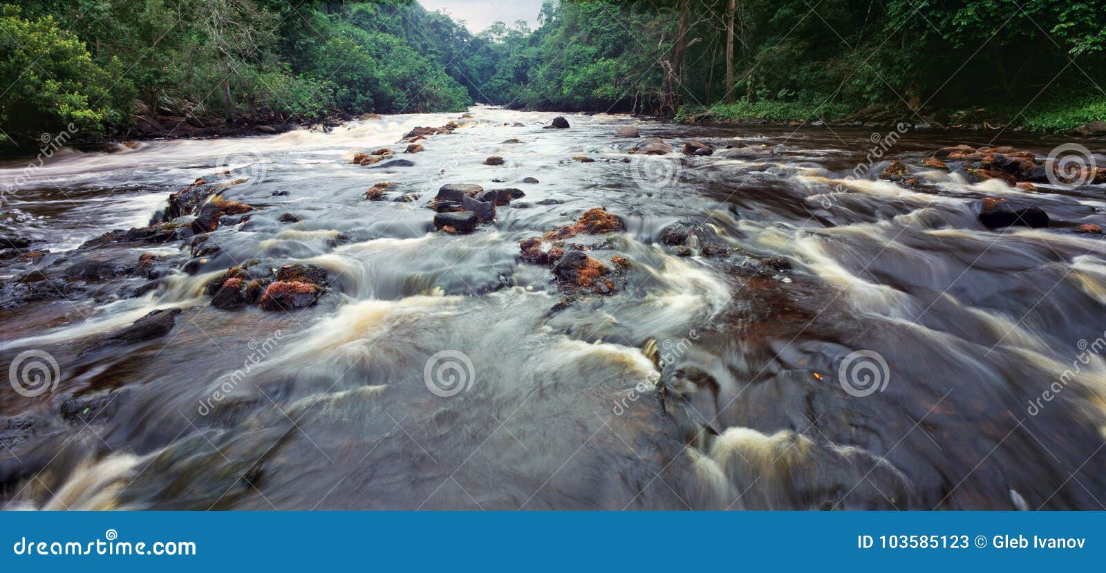 Rivier in Gabon stock afbeelding. Image of boom, wild - 103585123