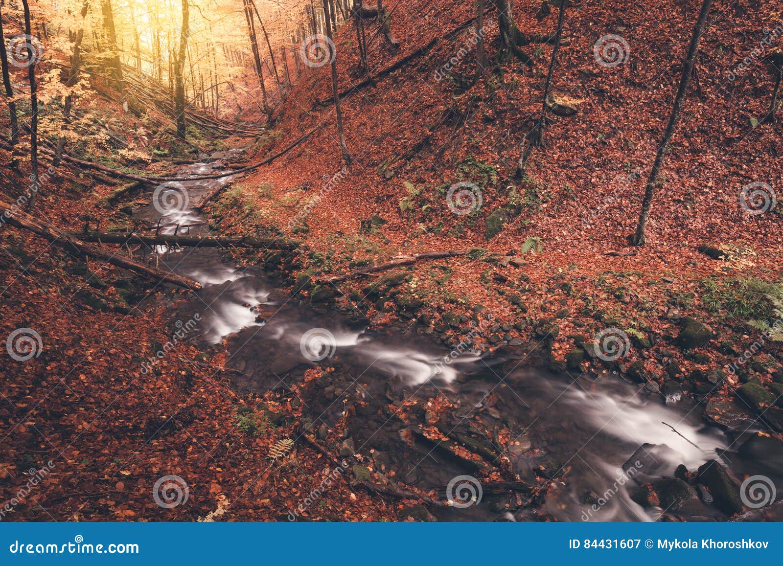 Rivier in Het Bos Van De Herfstkleuren Stock Afbeelding - Image of ...
