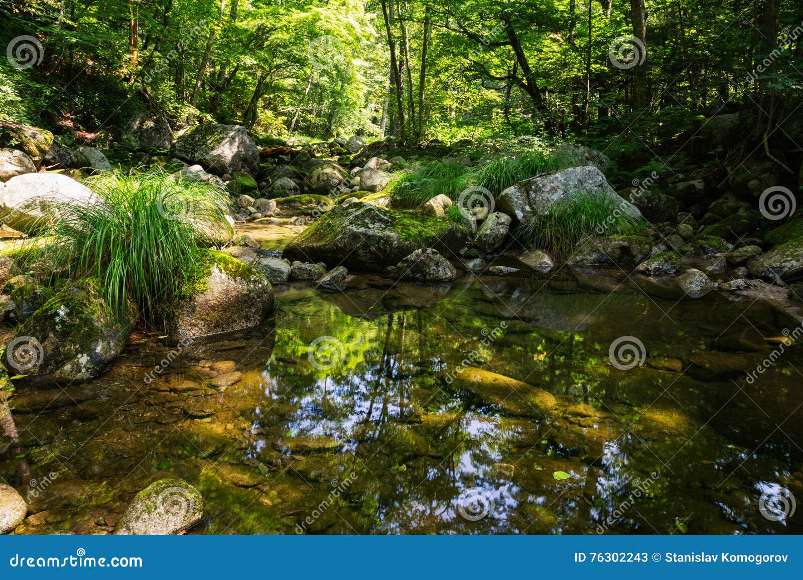 Rivier Met Het Zuiverste Water in Wild Bos Stock Afbeelding - Image of ...