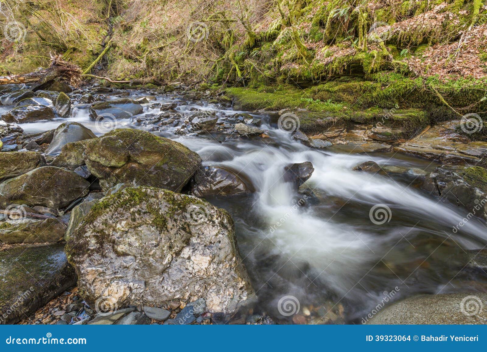 Rivierstroom stock foto. Image of rots, milieu, park - 39323064