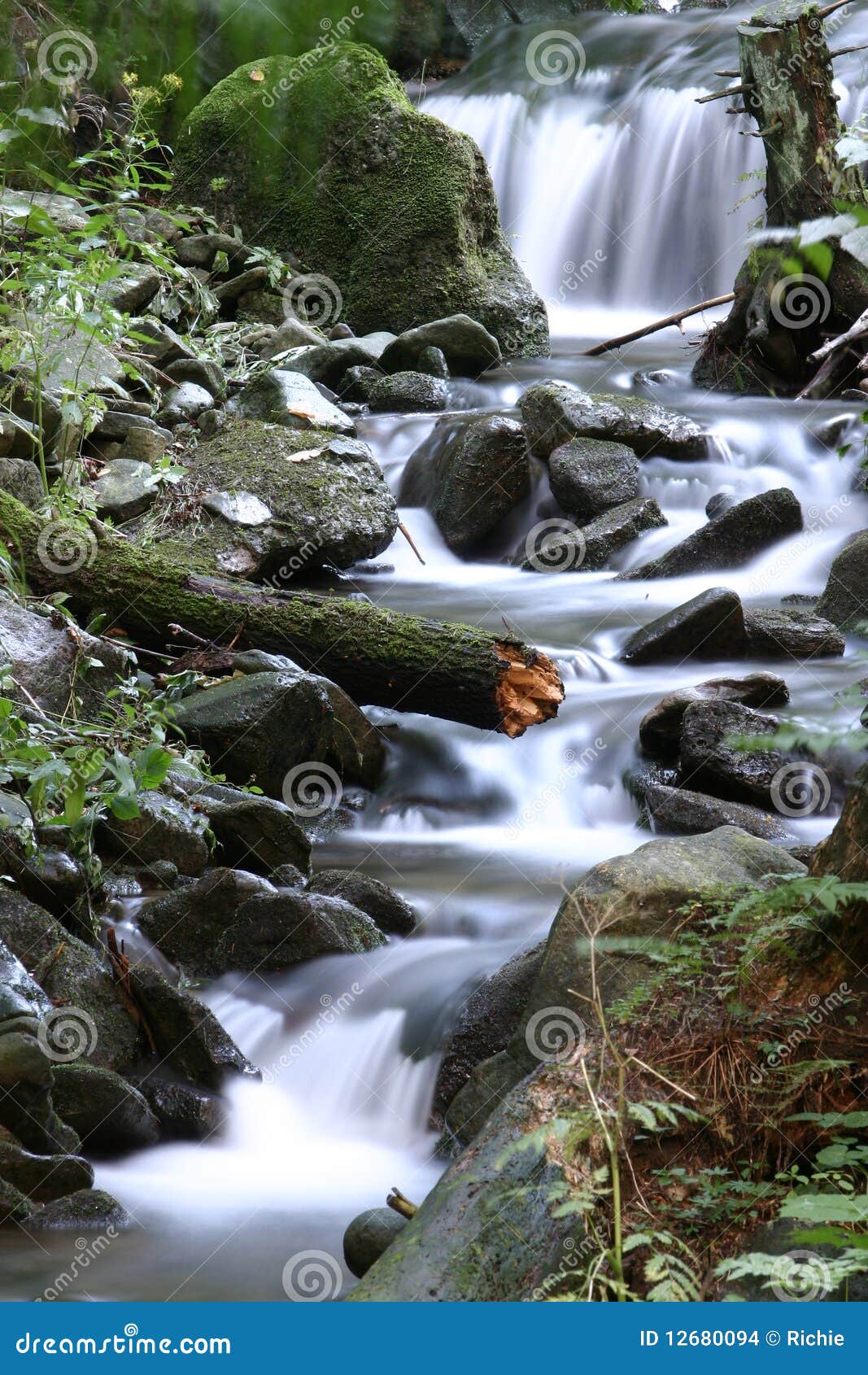 Rivulet stock photo. Image of leaves, calming, colorful - 12680094