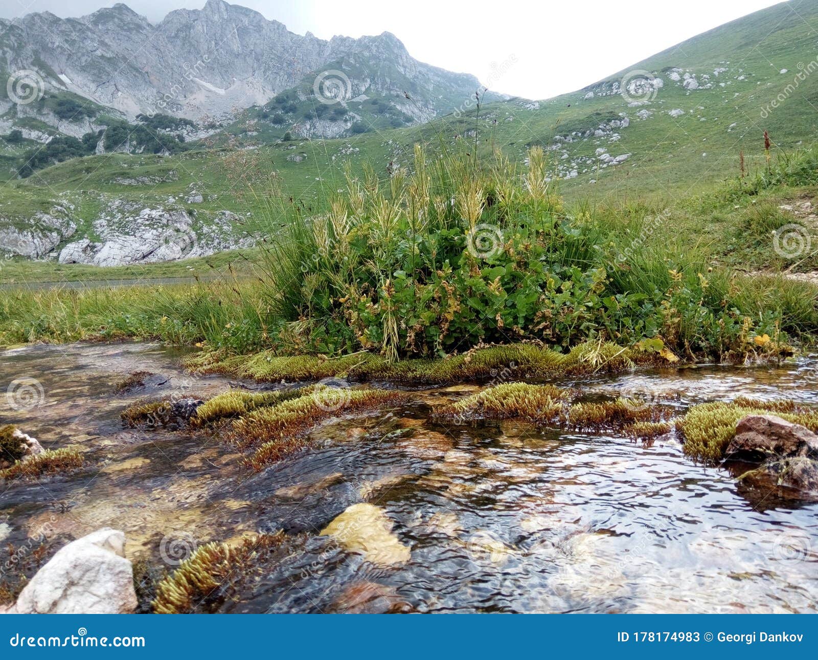 Of the rivulet stock image. Image of rivulet, rocks - 178174983