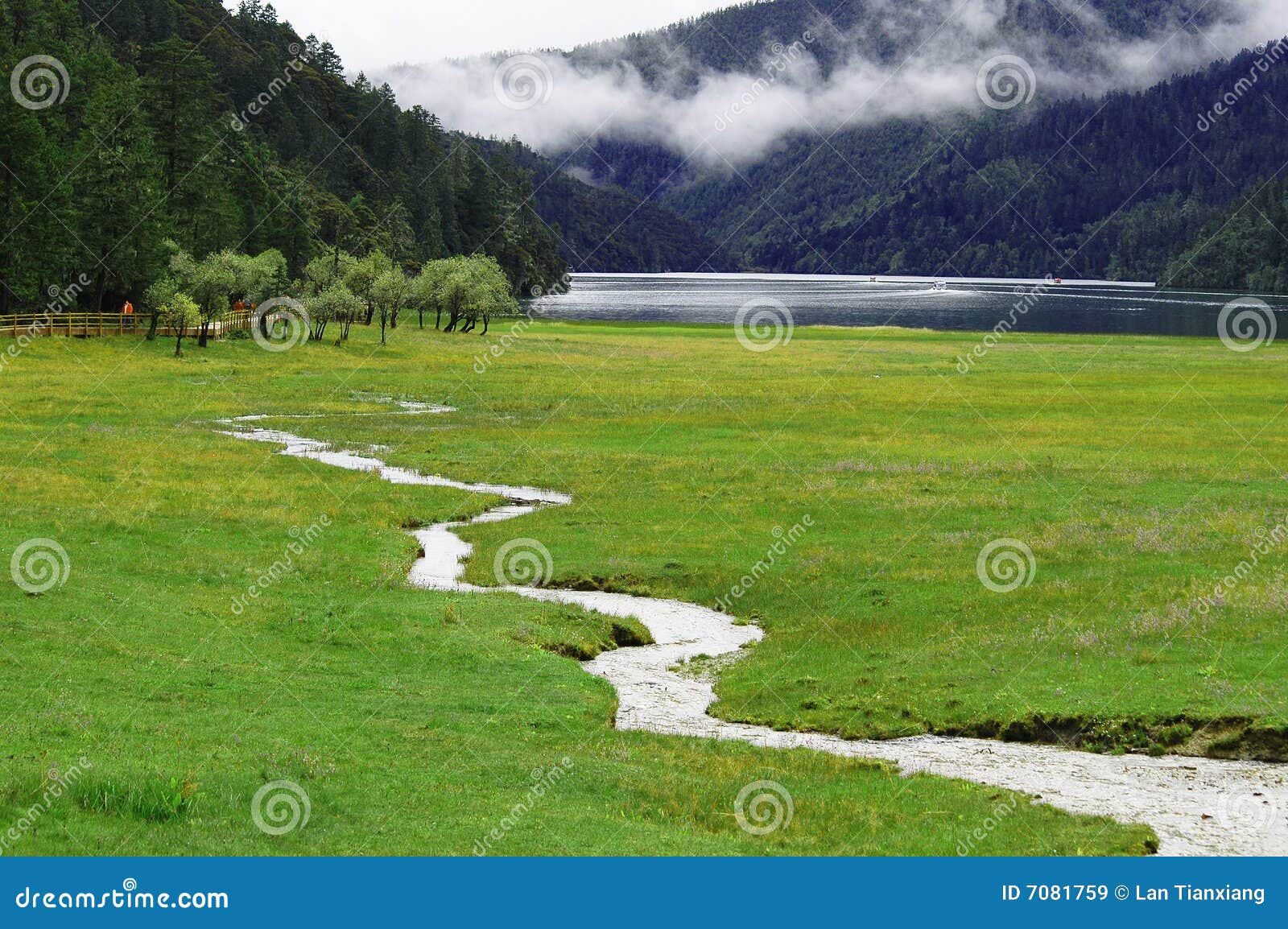 Rivulet stock image. Image of lakeside, green, water, grass - 7081759