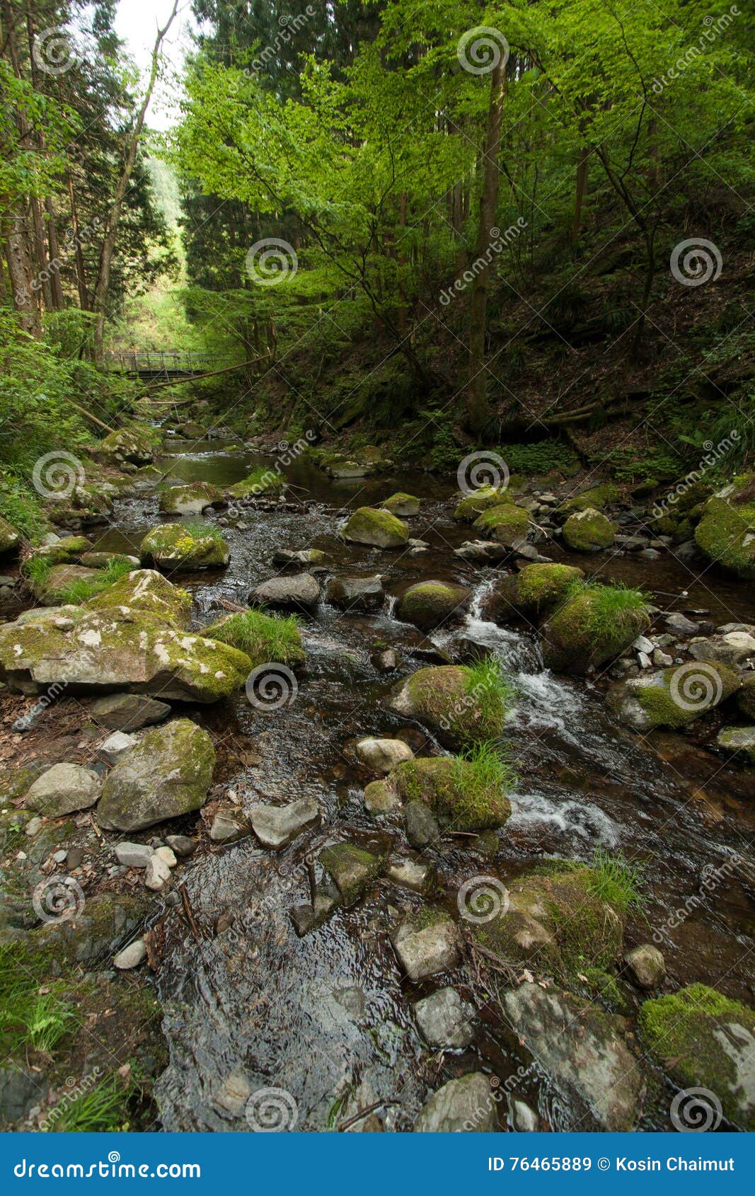 Rivulet imagem de stock. Imagem de feriado, nave, paisagem - 76465889