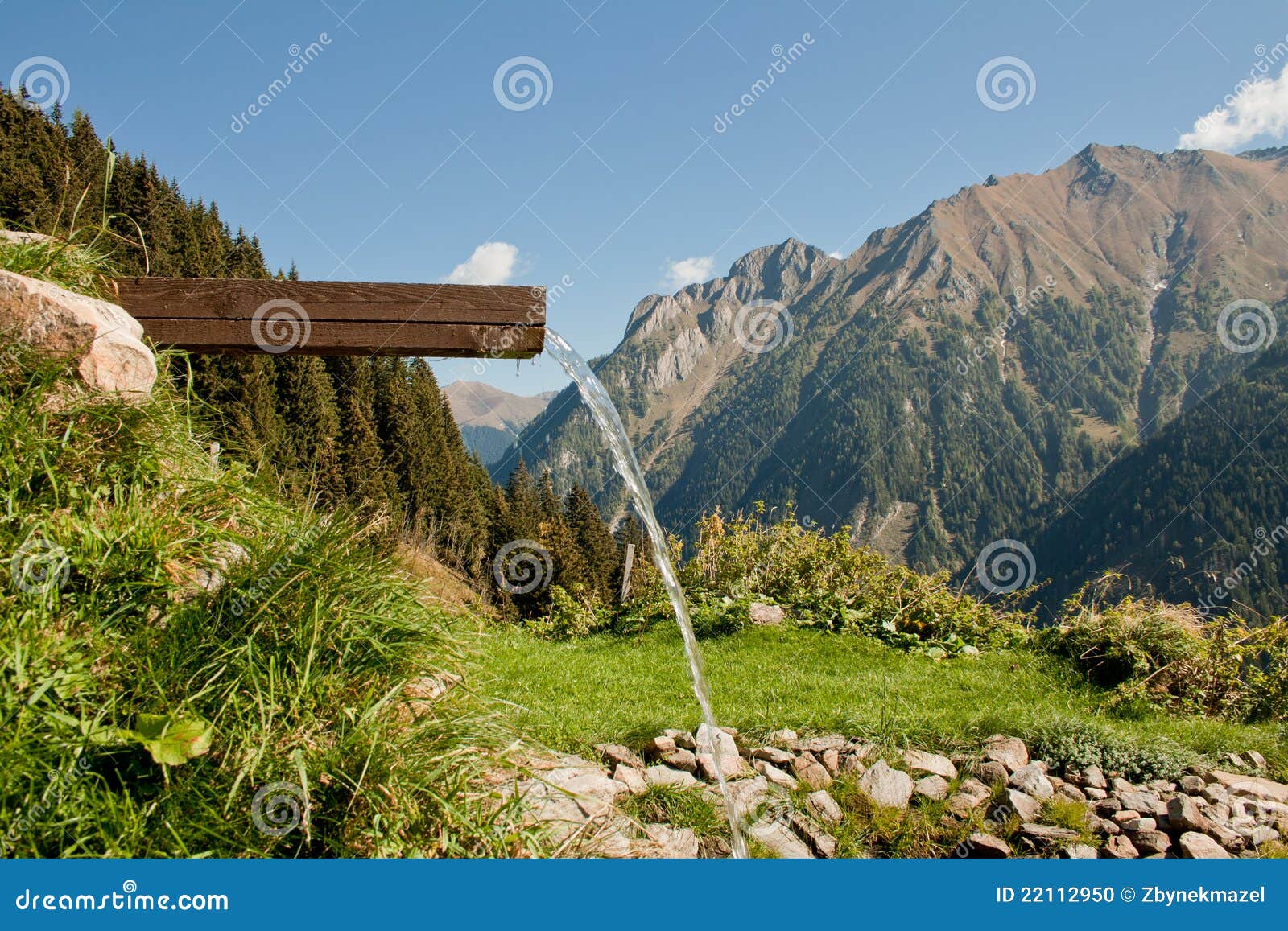 The rivulet in alp stock photo. Image of wild, evergreen - 22112950
