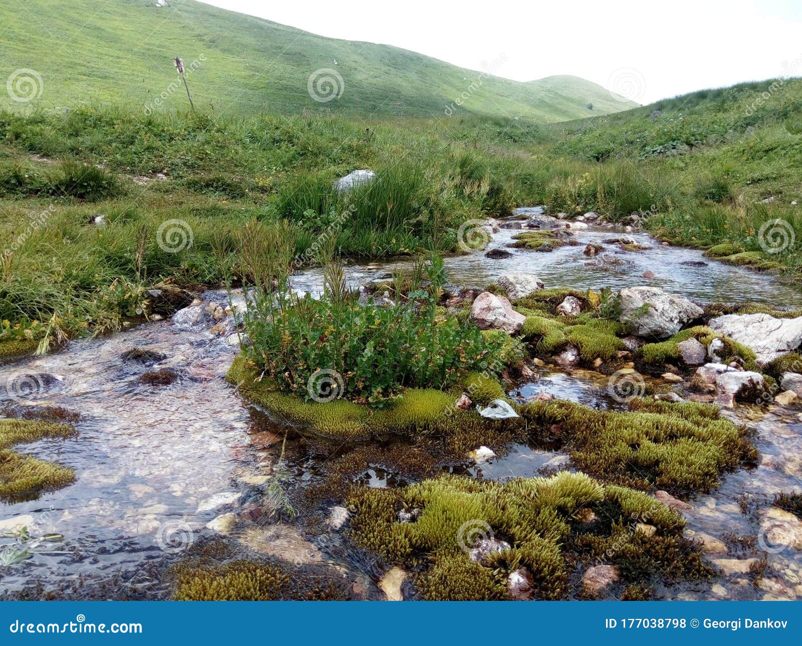 Of the rivulet stock photo. Image of caucasus, rivulet - 177038798