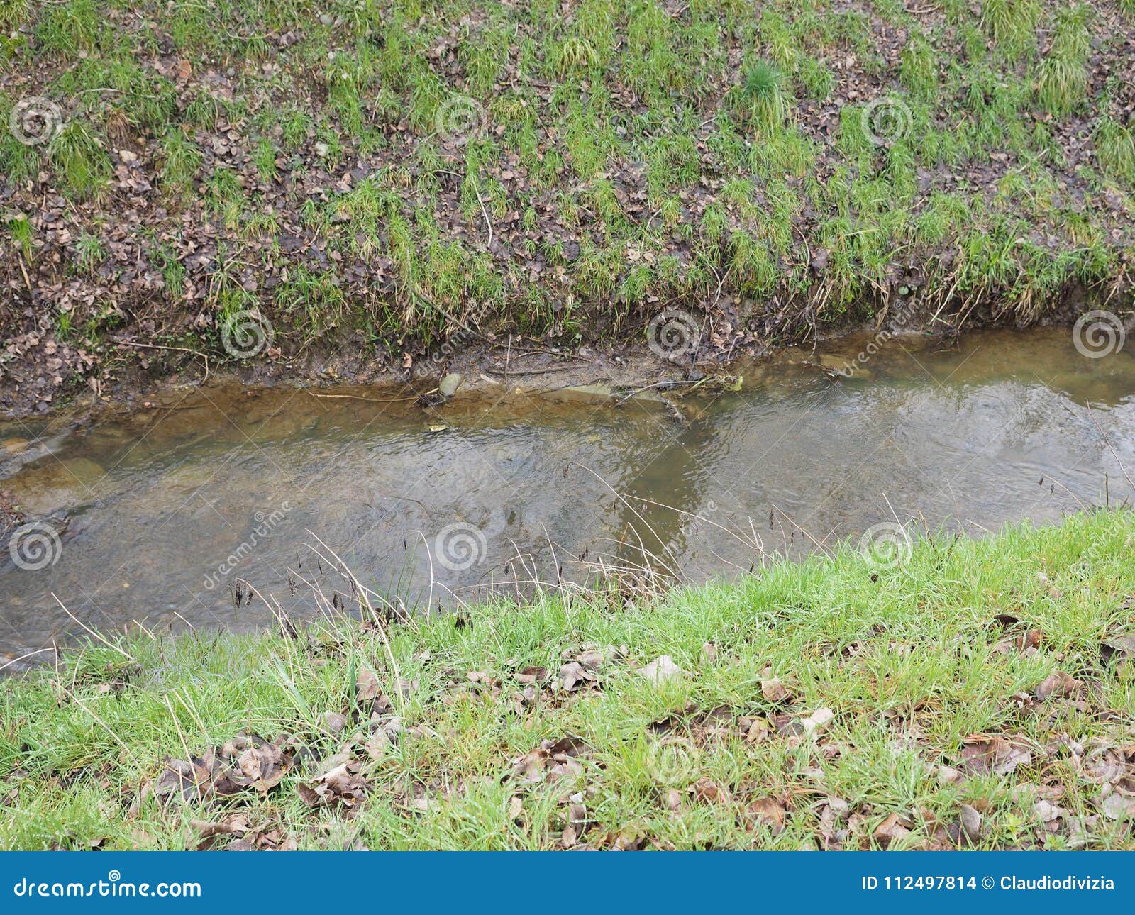 Rivulet of water stock photo. Image of environment, river - 112497814