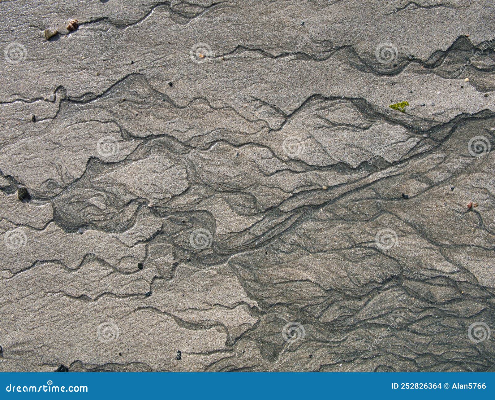 Rivulets of Water on a Fine Sand Beach at Low Tide Stock Photo - Image ...