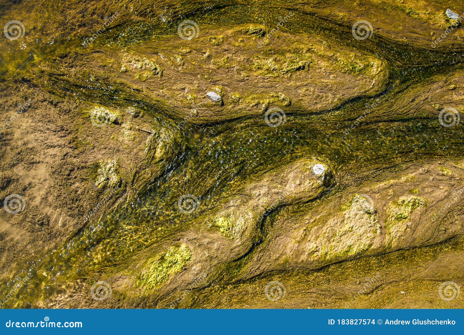 Rivulets of Water Flow Along the Silted Bottom Stock Photo - Image of ...