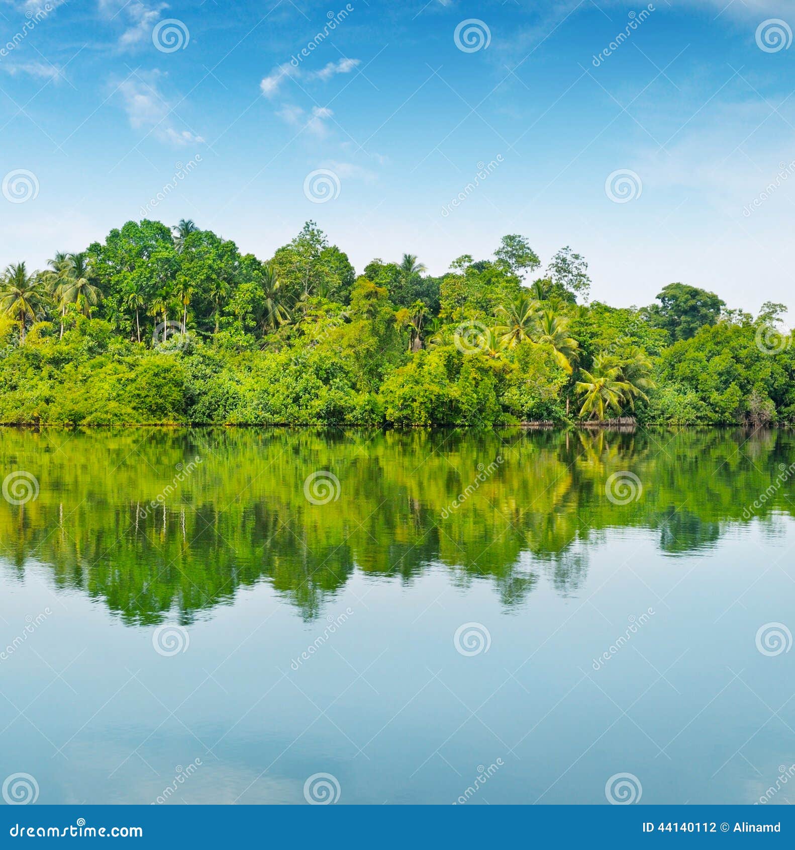 Riwer and blue sky stock photo. Image of freshwater, beautiful - 44140112