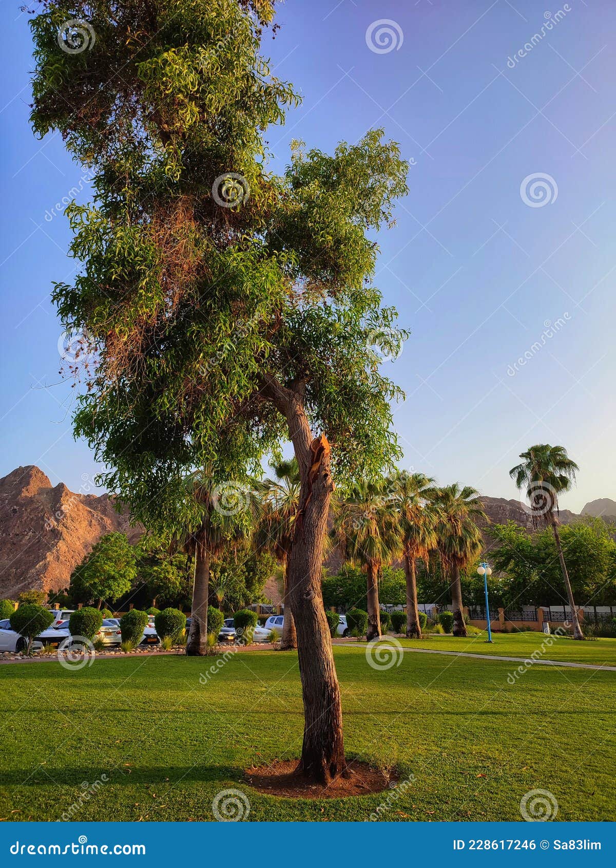 Riyam park, Muscat Oman stock photo. Image of green - 228617246