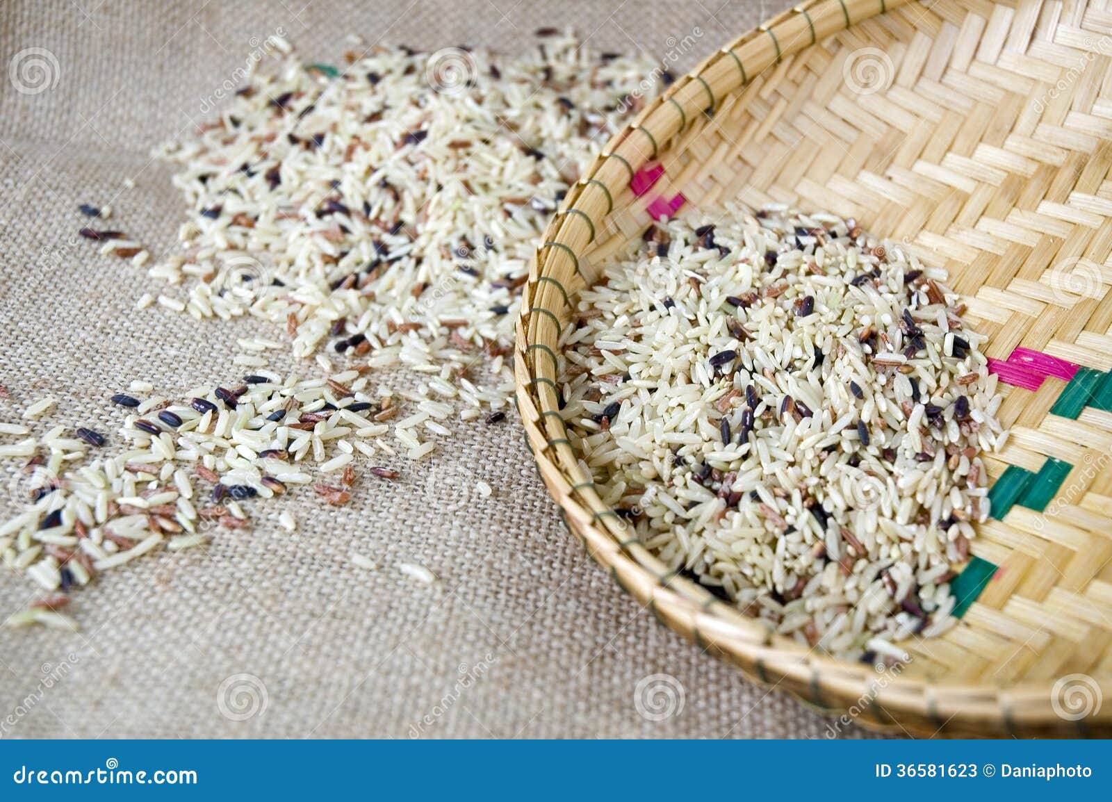 Riz brun de grain entier image stock. Image du organique - 36581623