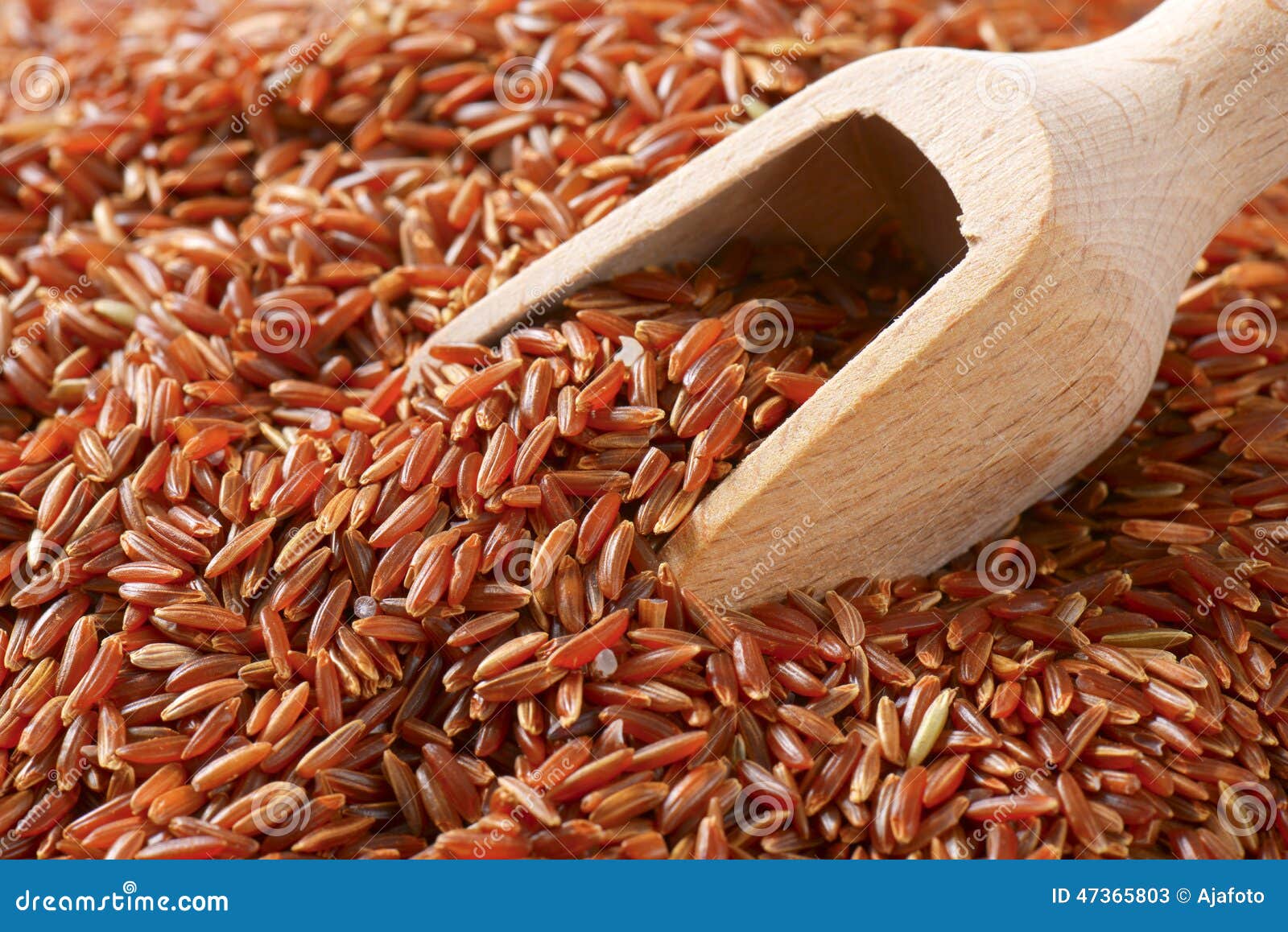 Riz de rouge de Camargue image stock. Image du nutritif - 47365803