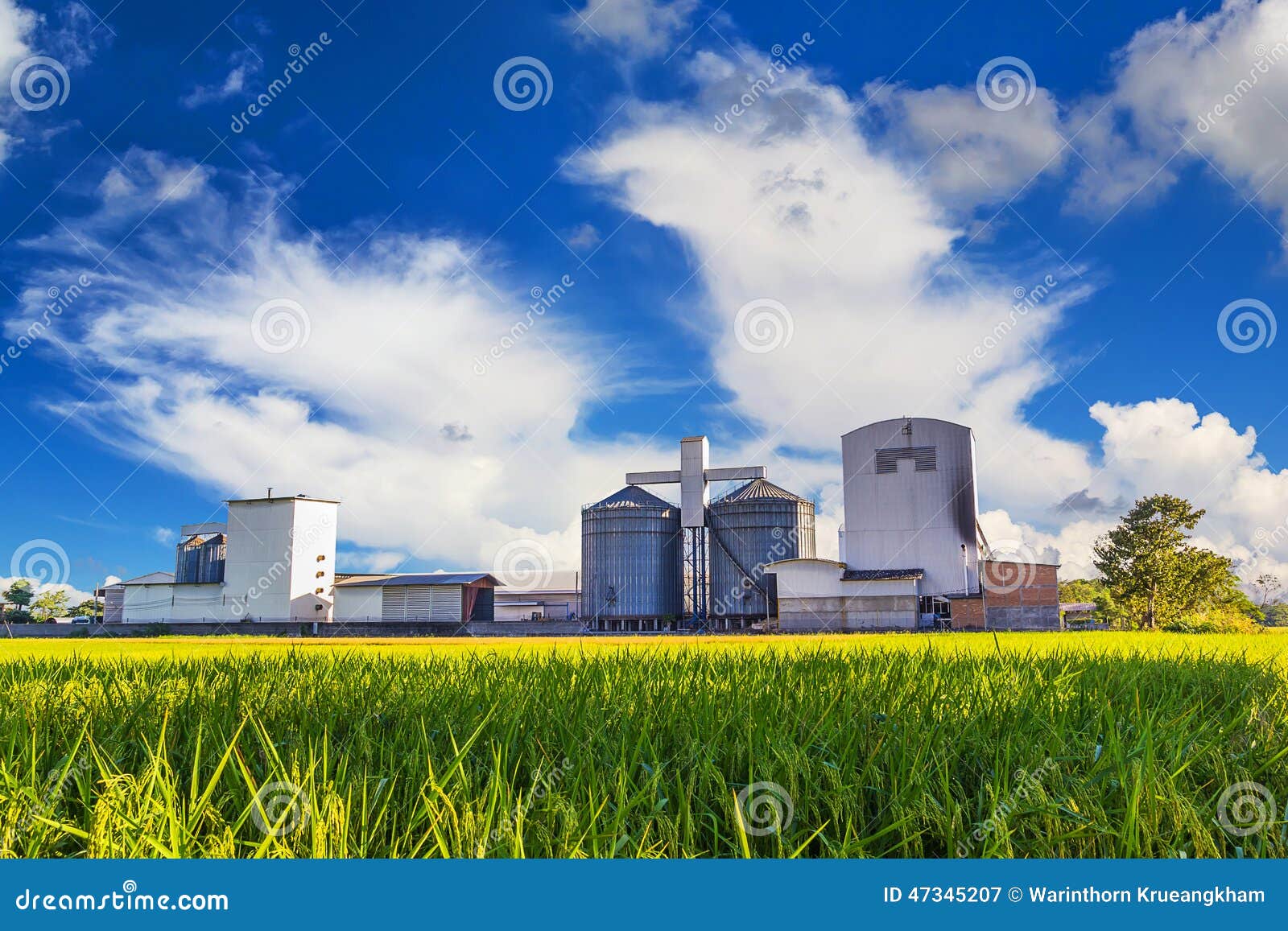 Rizerie image stock. Image du industrie, gare, ingénierie - 47345207
