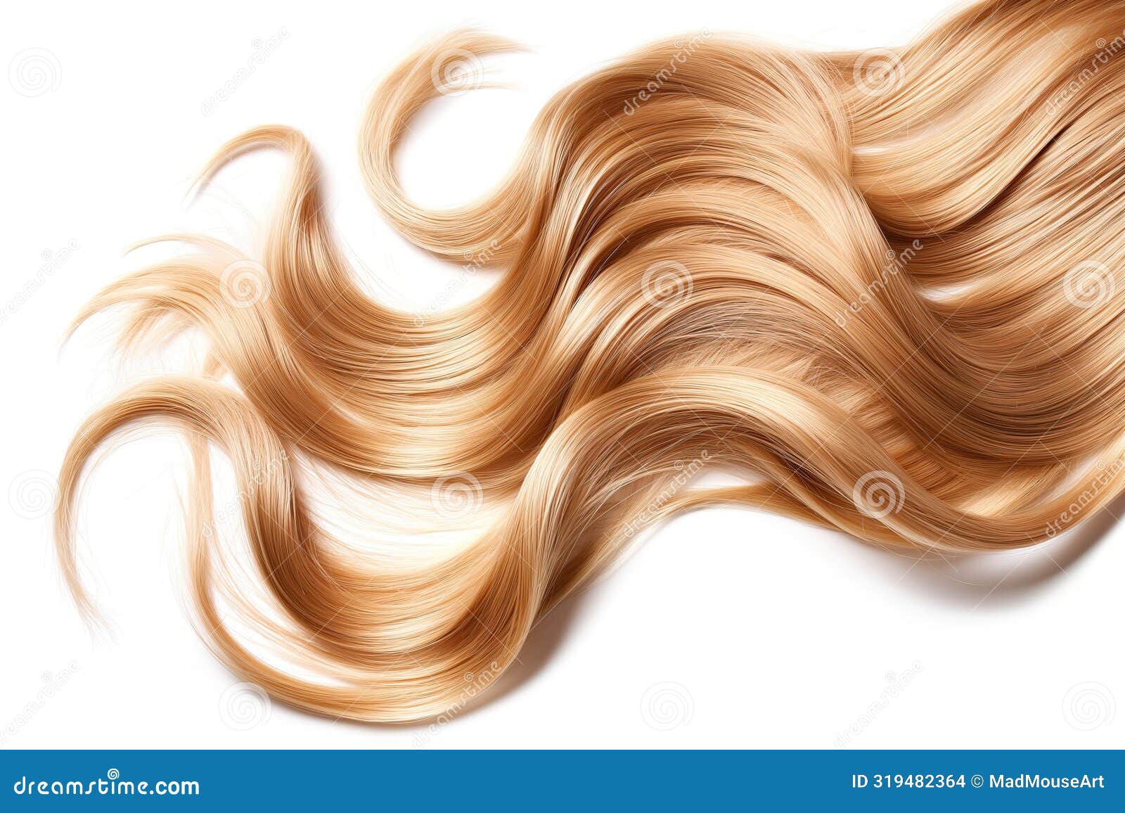 Rizo De Pelo Rubio Aislado Sobre Fondo Blanco Stock de ilustración ...