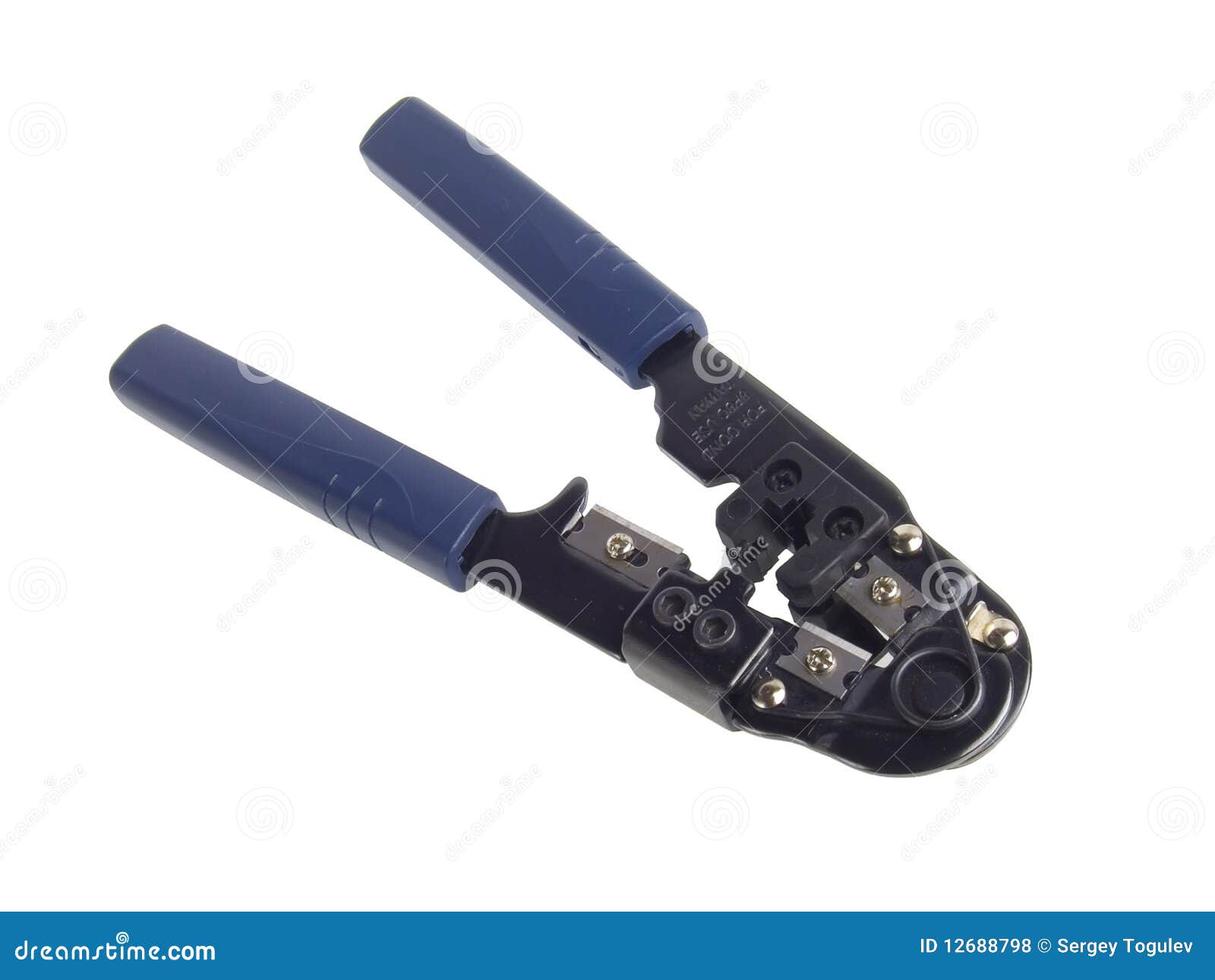 RJ-45 stock photo. Image of isolated, macro, blue, computer - 12688798