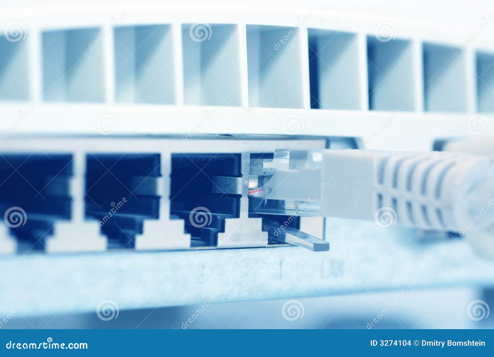 RJ-45 Network cable stock photo. Image of cable, plug - 3274104