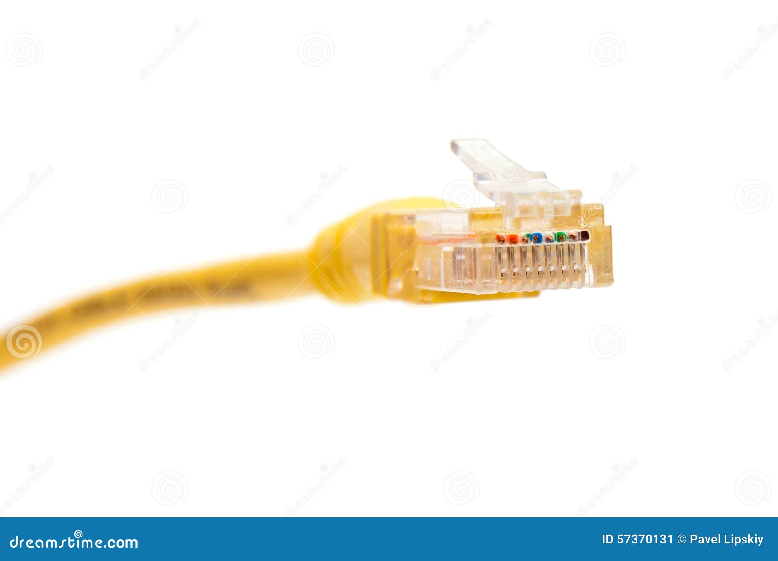 RJ45 cable closeup stock image. Image of connect, connection - 57370131