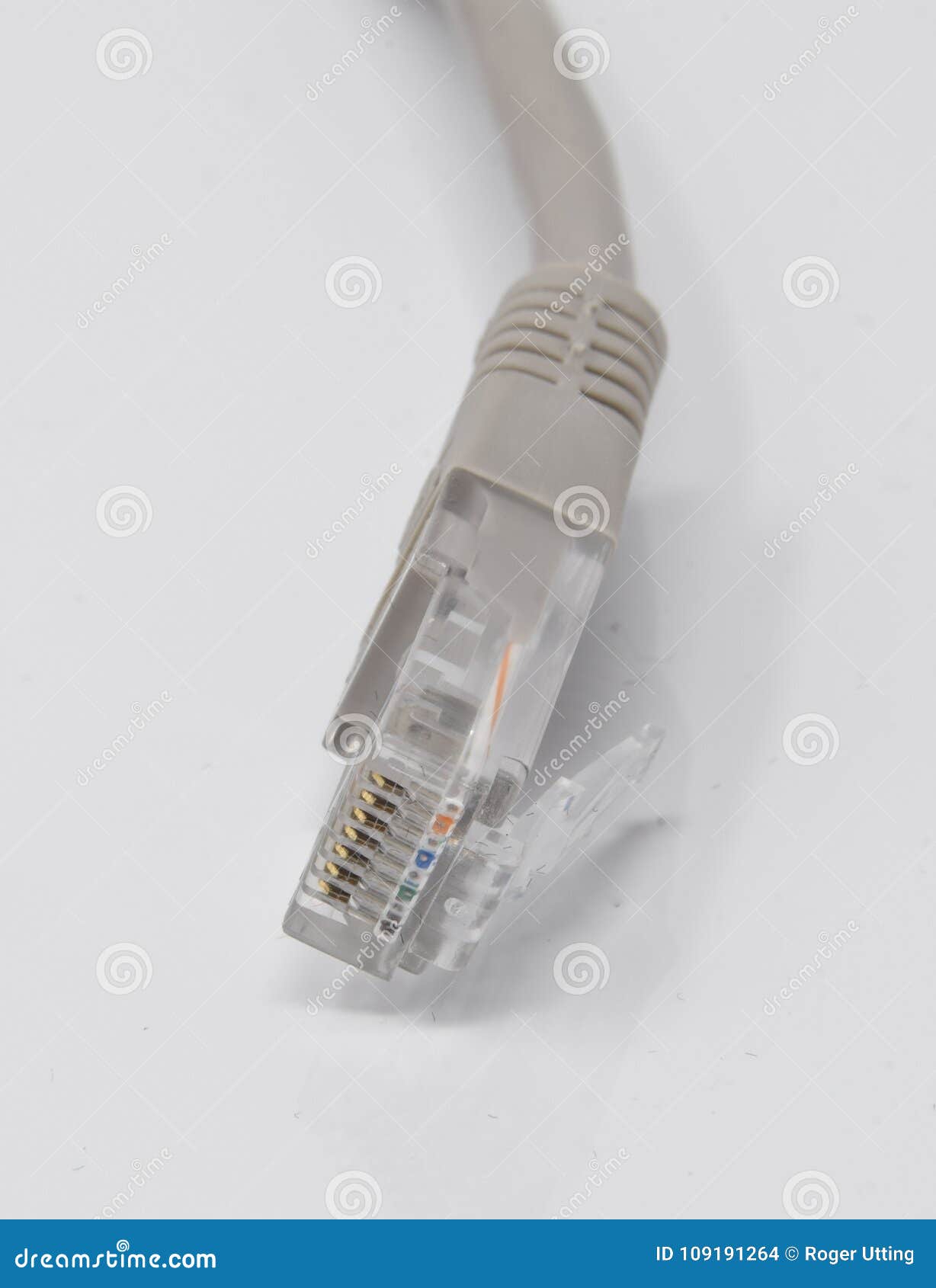RJ45 CAT5 cable stock photo. Image of information, ethernet - 109191264